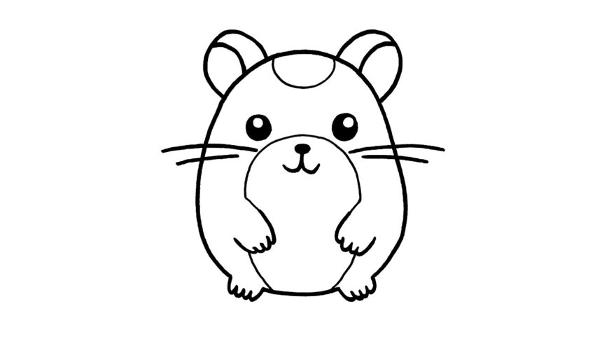 How To Draw A Hamster Step By Step - Hand Of Art
