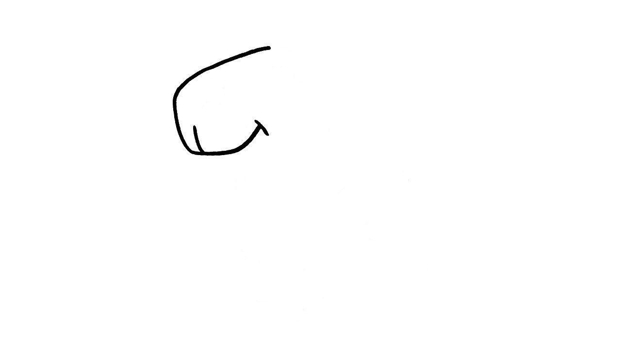 How to Draw Capybara Step by Step - Hand Of Art