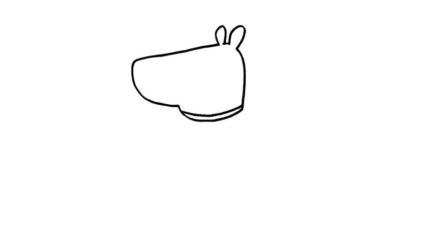 How to Draw Chill Guy Step by Step - Hand Of Art