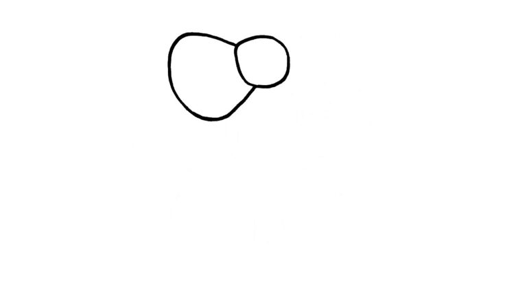 How To Draw a Christmas Wreath Step by Step - Hand Of Art