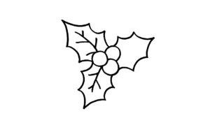 How To Draw a Mistletoe Step by Step - Hand Of Art