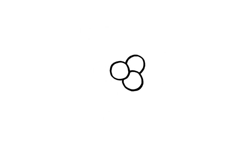 How To Draw a Mistletoe Step by Step - Hand Of Art