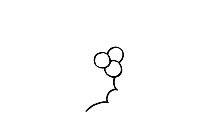 How To Draw a Mistletoe Step by Step - Hand Of Art