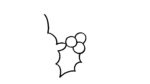 How To Draw a Mistletoe Step by Step - Hand Of Art