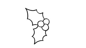 How To Draw a Mistletoe Step by Step - Hand Of Art