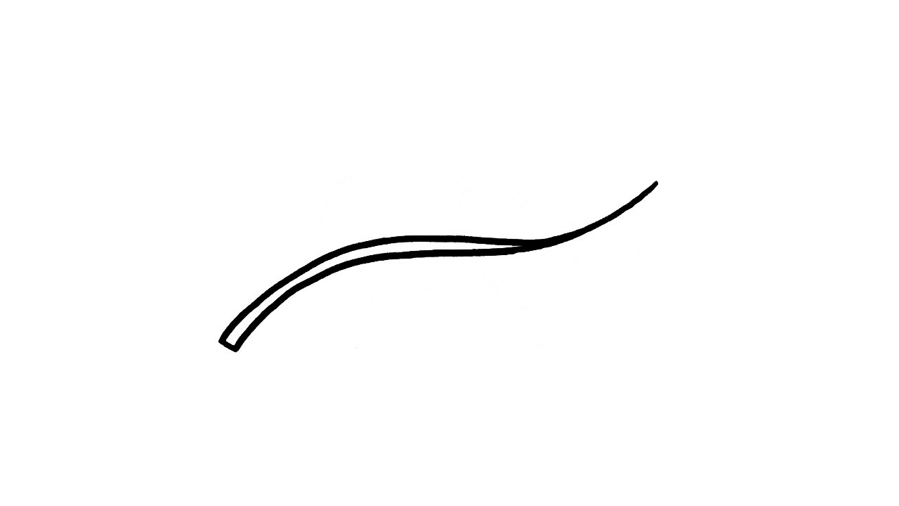 How to Draw a Leaf Step By Step - Hand Of Art