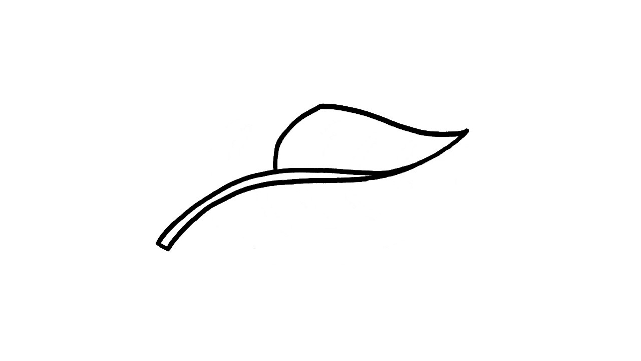 How to Draw a Leaf Step By Step - Hand Of Art