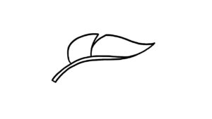 How to Draw a Leaf Step By Step - Hand Of Art