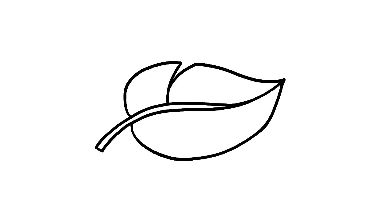 How to Draw a Leaf Step By Step - Hand Of Art
