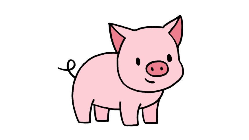 How to Draw a Pig Step By Step