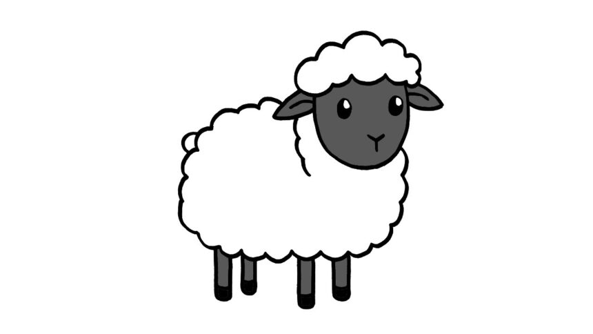 How to Draw a Sheep Step By Step