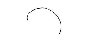 How to Draw a Dolphin Step By Step