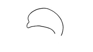 How to Draw a Dolphin Step By Step