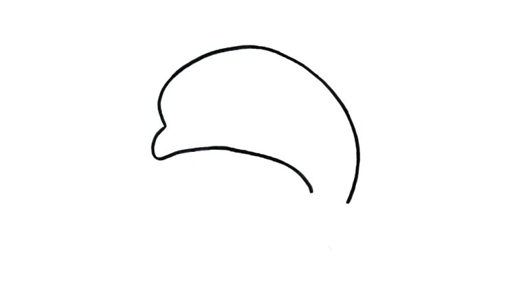 How to Draw a Dolphin Step By Step