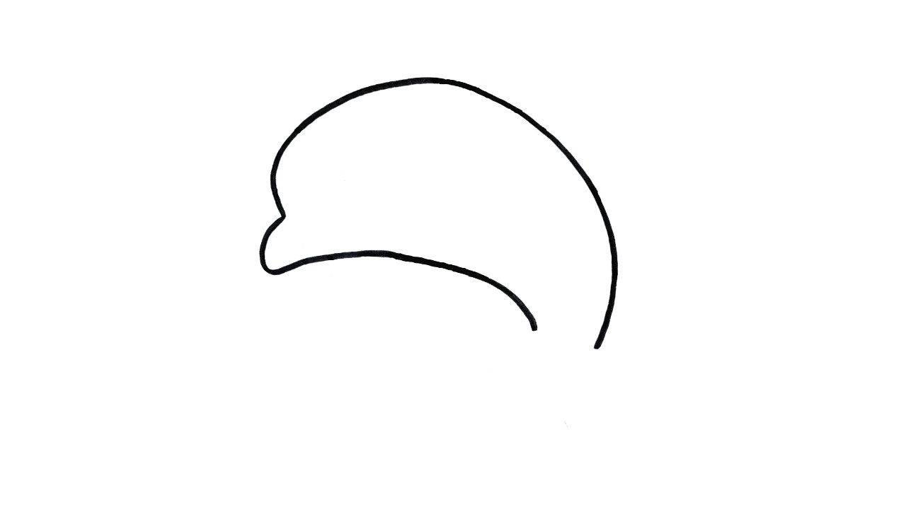 How to Draw a Dolphin Step By Step