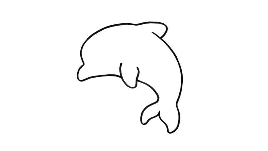 How to Draw a Dolphin Step By Step