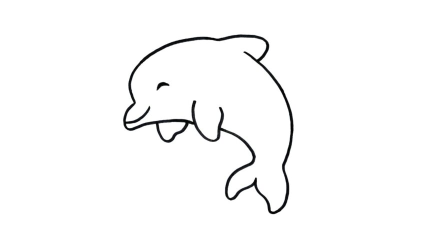 How to Draw a Dolphin Step By Step