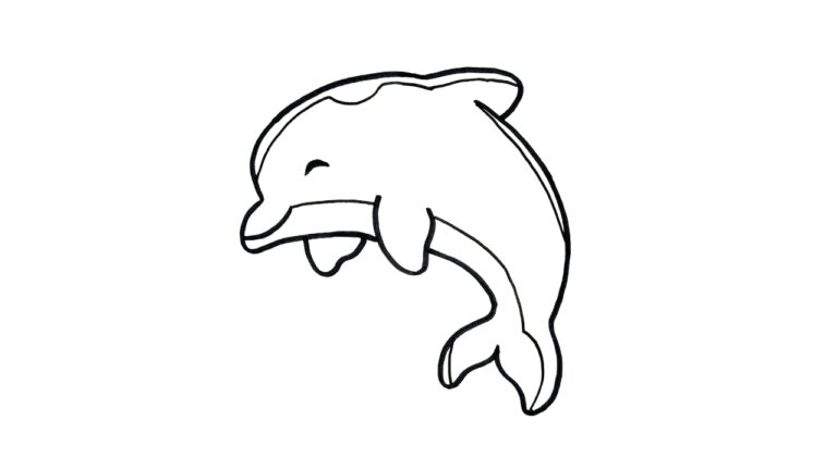 How to Draw a Dolphin Step By Step