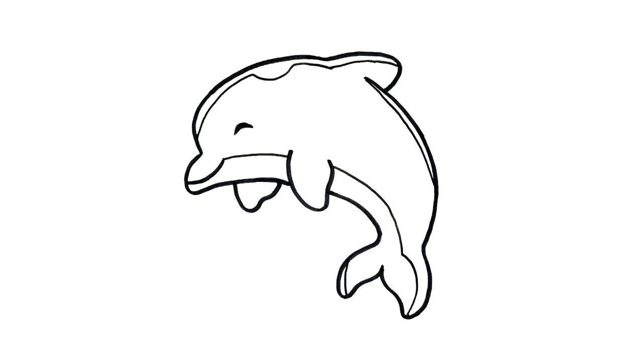 How to Draw a Dolphin Step By Step