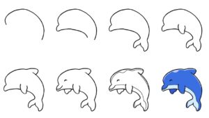 How to Draw a Dolphin Step By Step