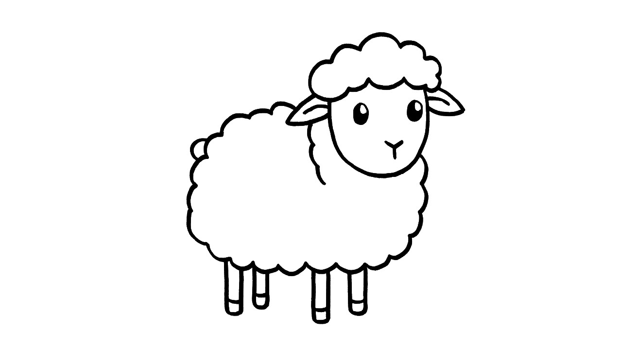 How to Draw a Sheep Step By Step