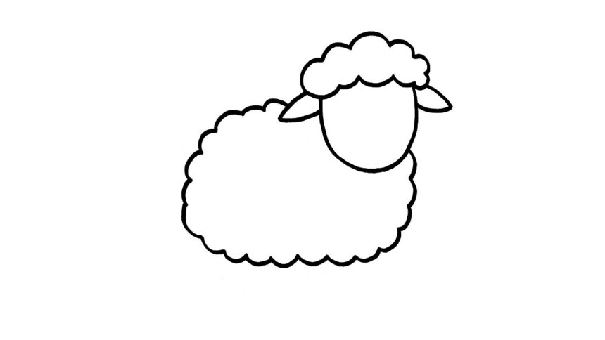 How to Draw a Sheep Step By Step