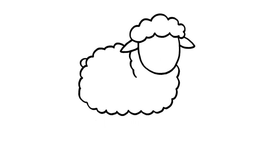 How to Draw a Sheep Step By Step