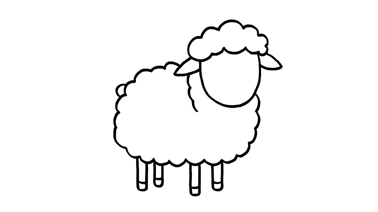 How to Draw a Sheep Step By Step