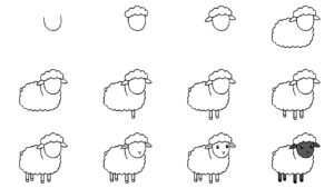 How to Draw a Sheep Step By Step