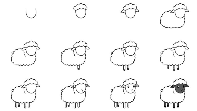 How to Draw a Sheep Step By Step