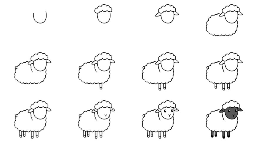 How to Draw a Sheep Step By Step