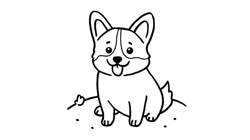 How to Draw Corgi Step By Step