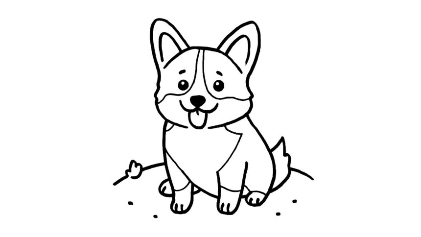 How to Draw Corgi Step By Step